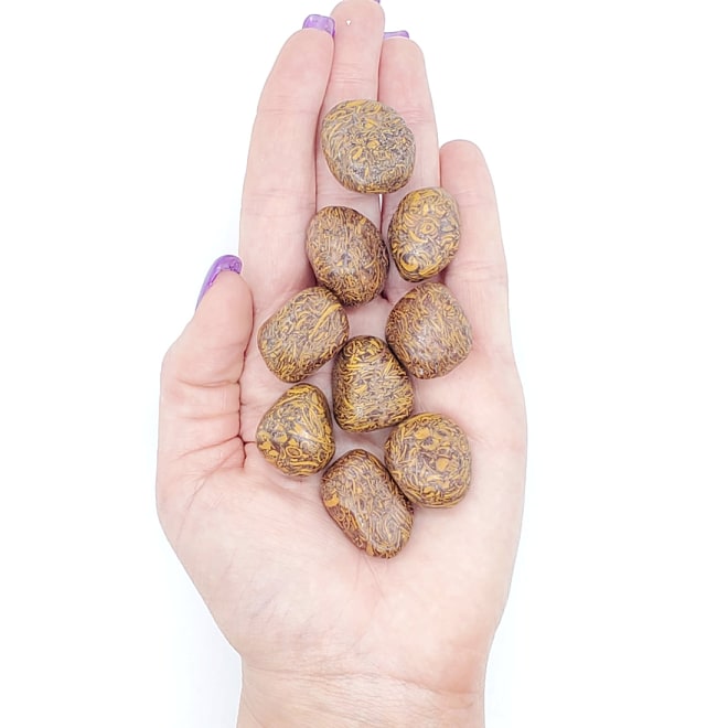 Fossil Jasper | Mariam Stone | Script Stone | Calligraphy Crystal ...